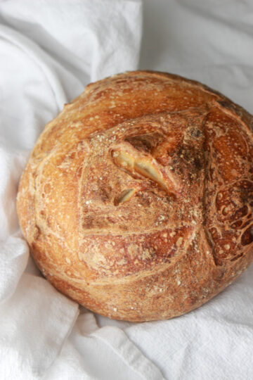 All About the Autolyse: How a Pause Makes for Better Bread ...