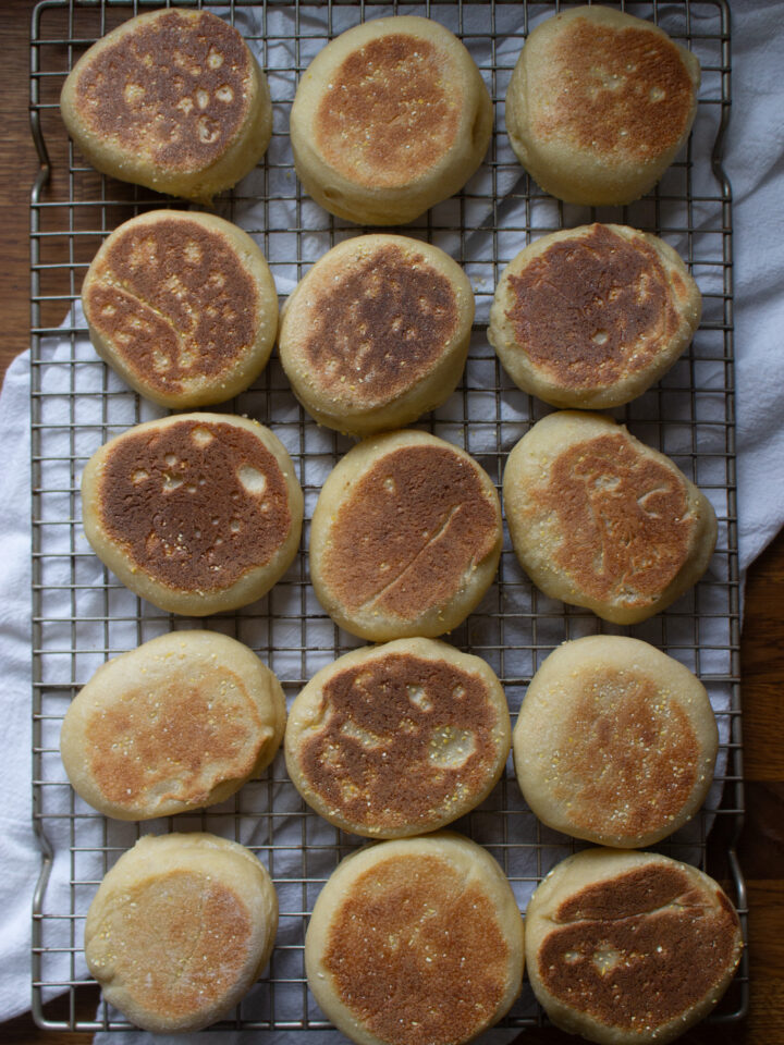 Soft Sourdough Dinner Rolls - Let’s Make Sourdough