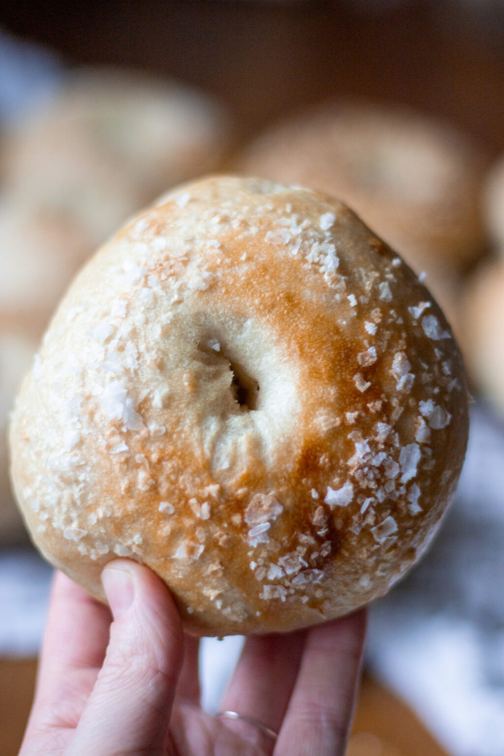 Homemade Sourdough Bagels - Let’s Make Sourdough