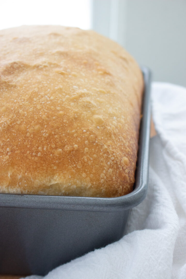 Sourdough Sandwich Bread (Volume Measurements!) - Let’s Make Sourdough